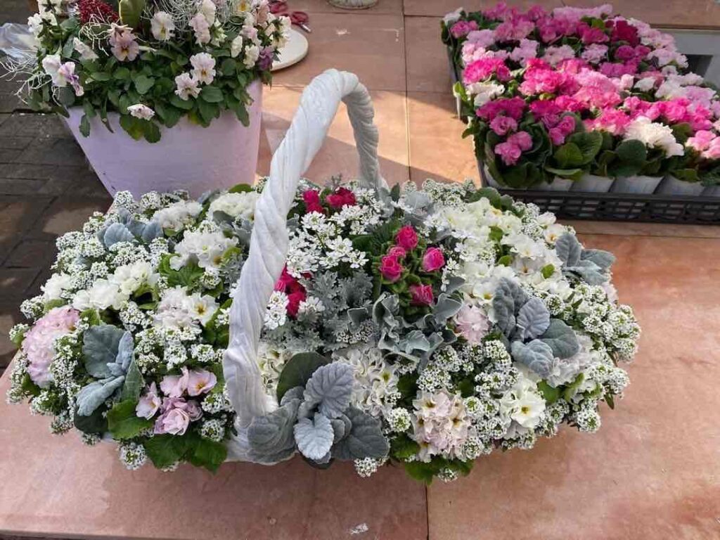 ガーデニング工房 あおき 青木 英郎 | 寄せ植え・ガーデニング・ギャザリング・あおき式
